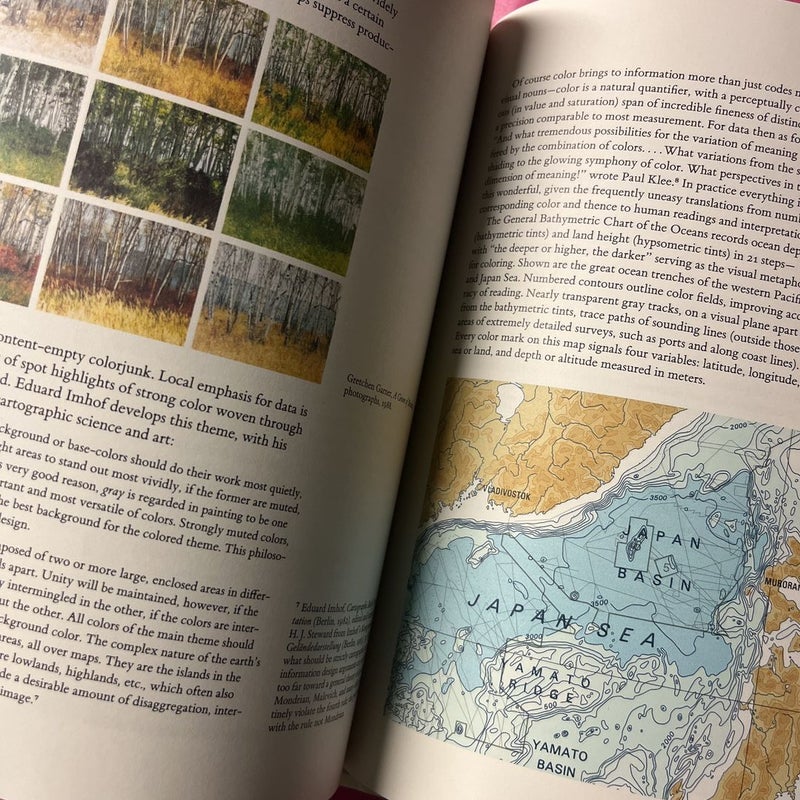 Envisioning Information