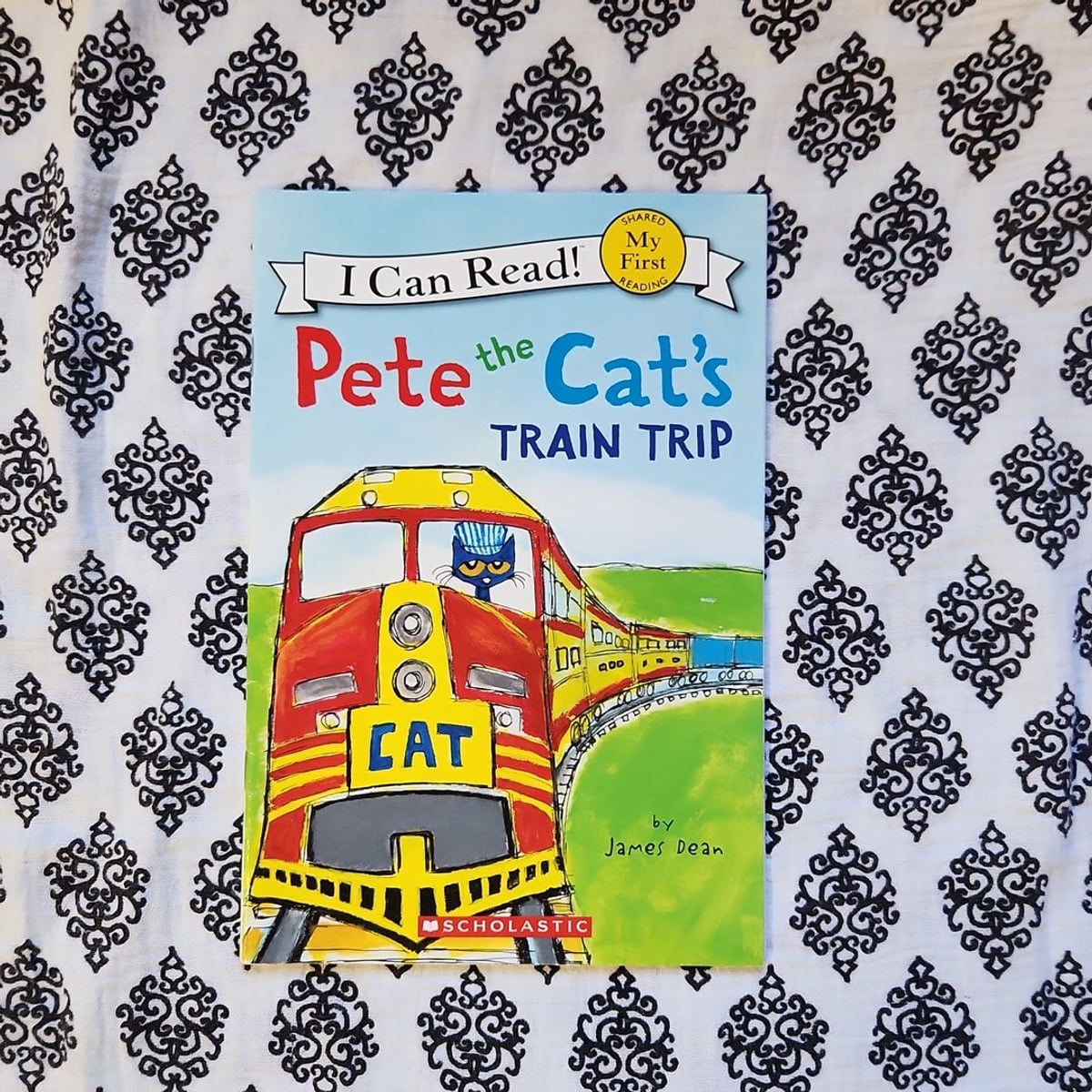 Petes the Cat's Train Trip