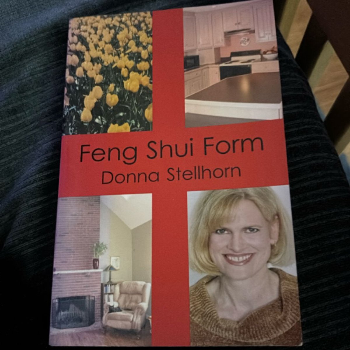 Feng Shui Form by Donna Stellhorn