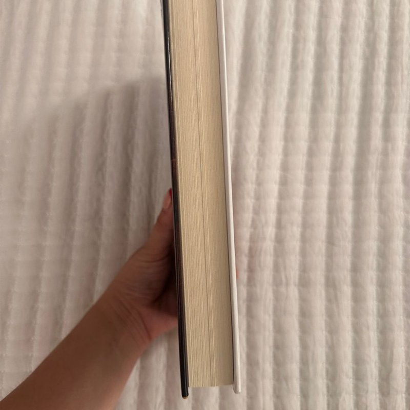 The Quiet Tenant by Clemence Michallon, Hardcover | Pangobooks