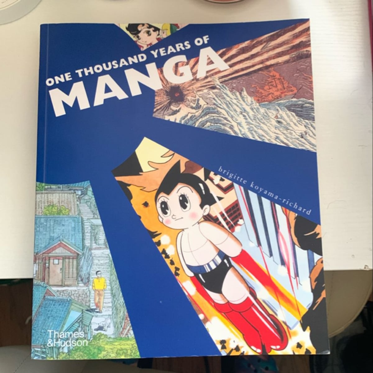 One Thousand Years of Manga by Brigitte Koyama-Richard
