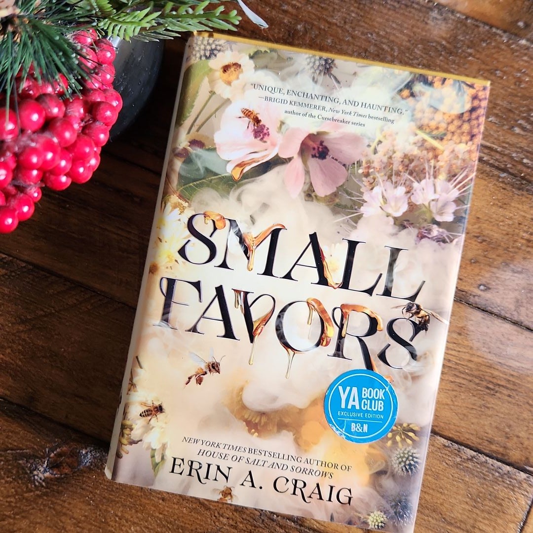 Small Favors by Erin Craig, Hardcover | Pangobooks