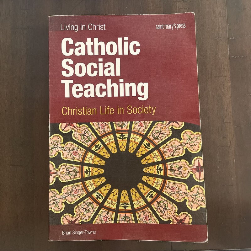 Catholic Social Teaching by Brian Singer-Towns