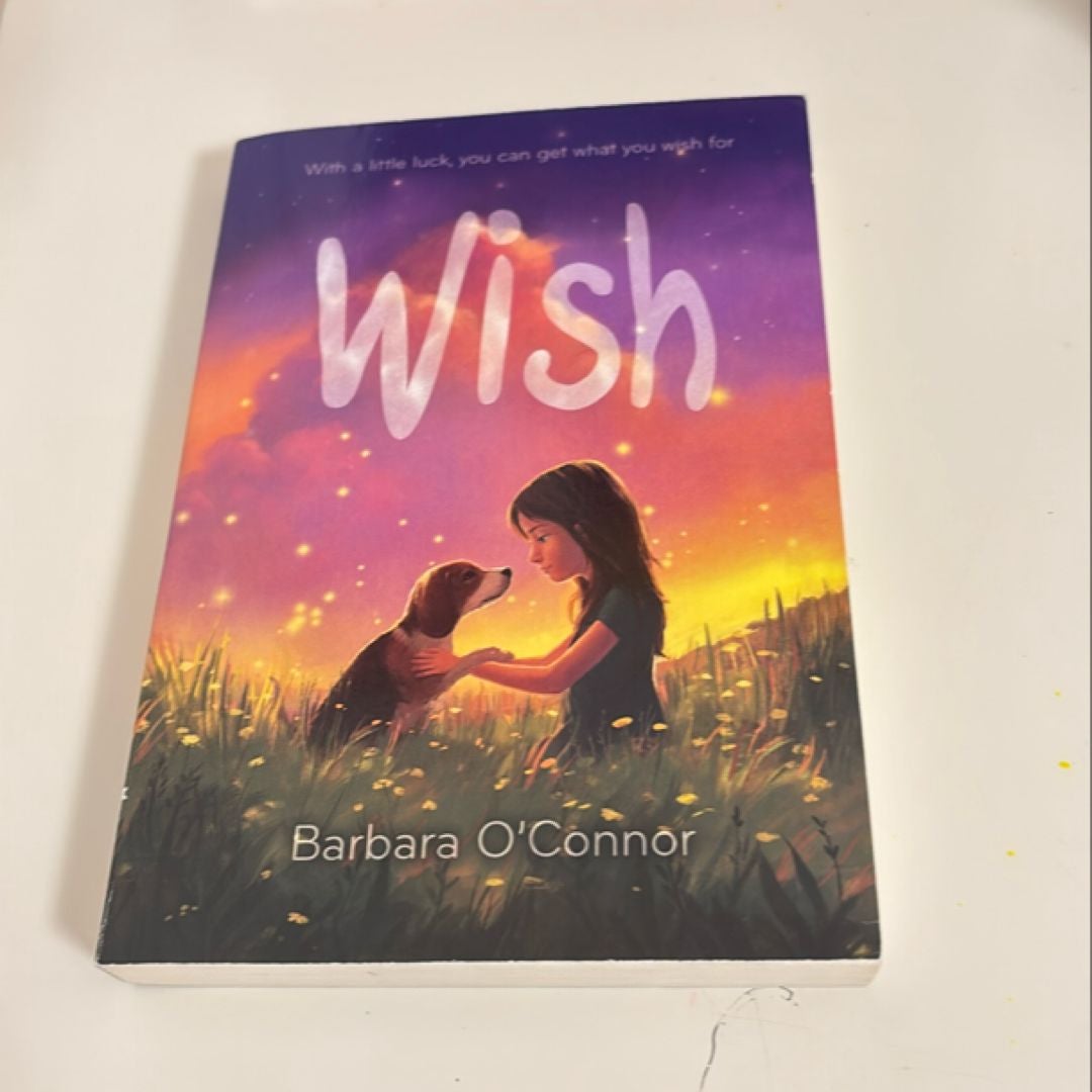 Wish by Barbara O'Connor, Paperback | Pangobooks