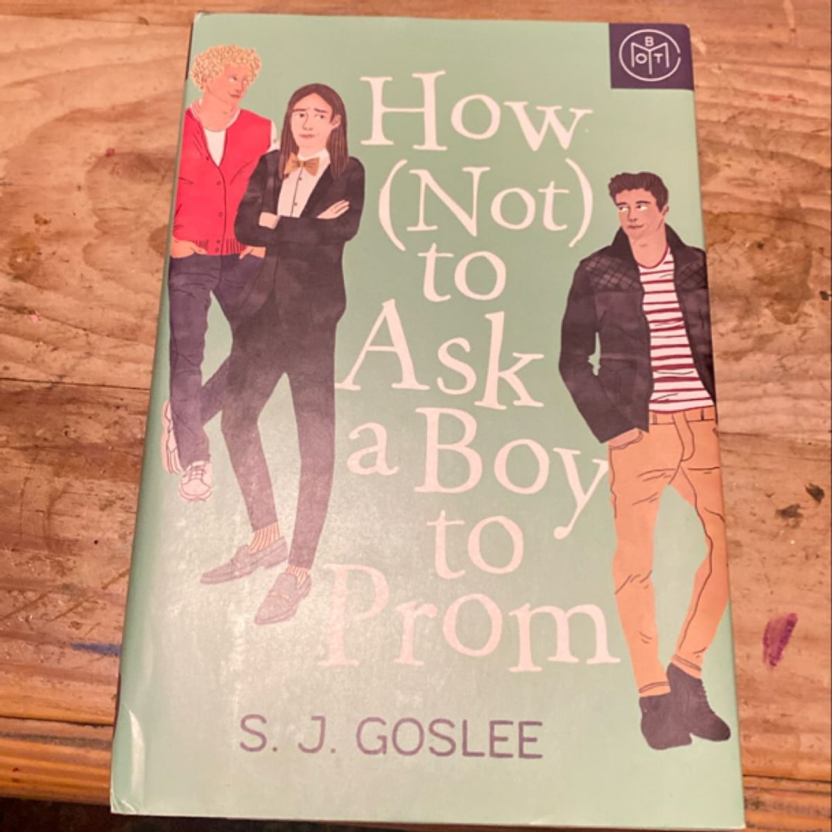 How Not to Ask a Boy to Prom by S. J. Goslee