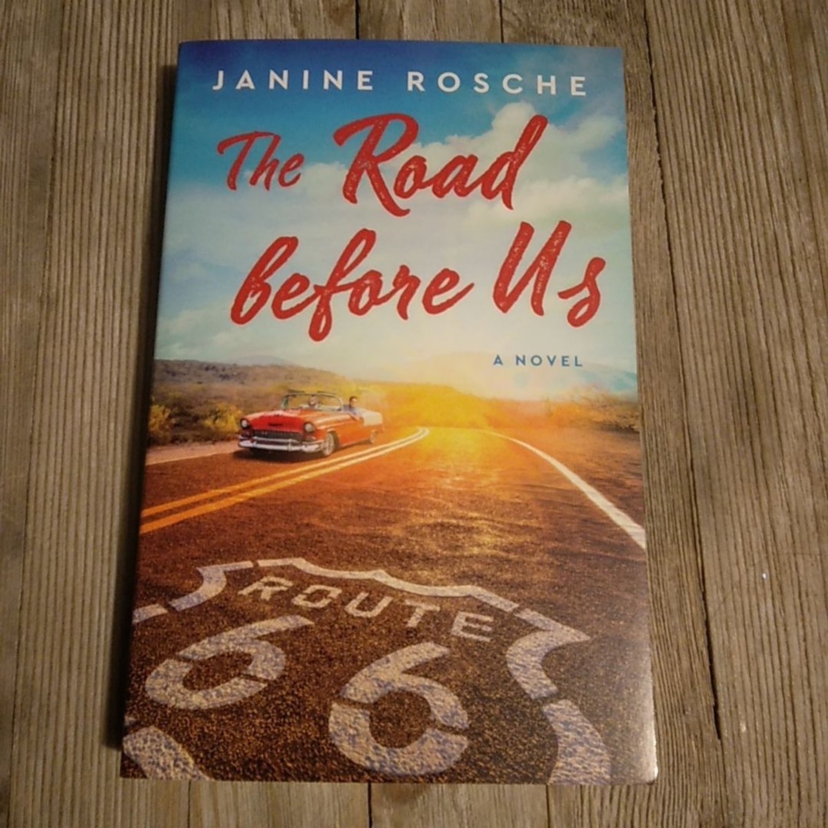 The Road Before Us by Janine Rosche
