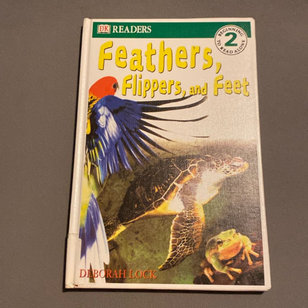 Feathers, Flippers, and Feet by Deborah Lock