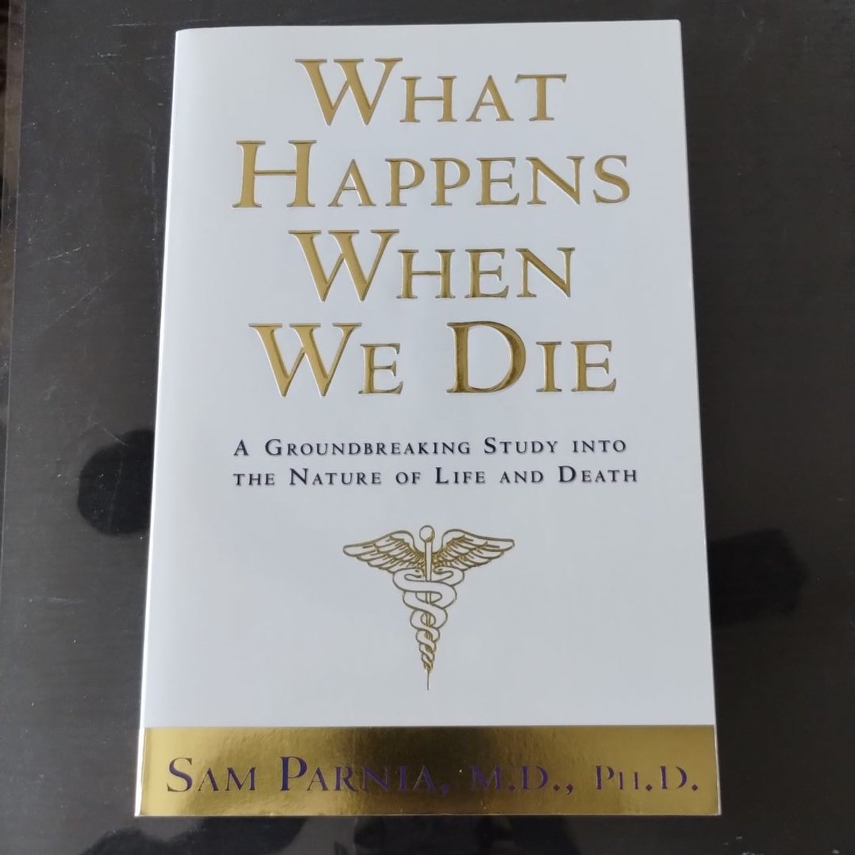 What Happens When We Die? by Sam Parnia