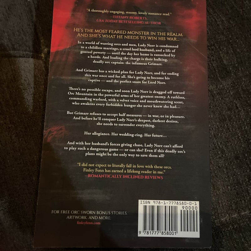 The lady and the orc by Finley fenn , Paperback | Pangobooks