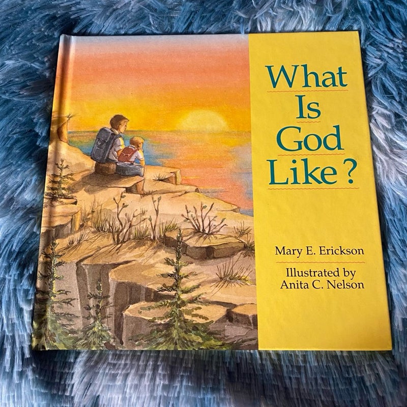 What Is God Like? by Mary Erickson