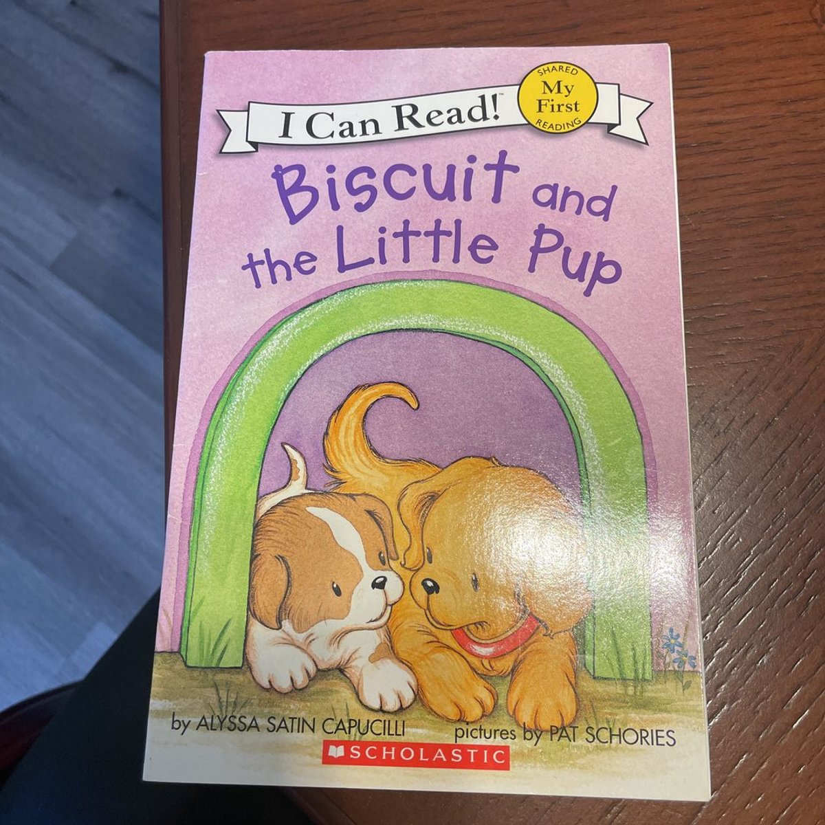 Biscuit and the Little Pup by Alyssa Satin Capucilli
