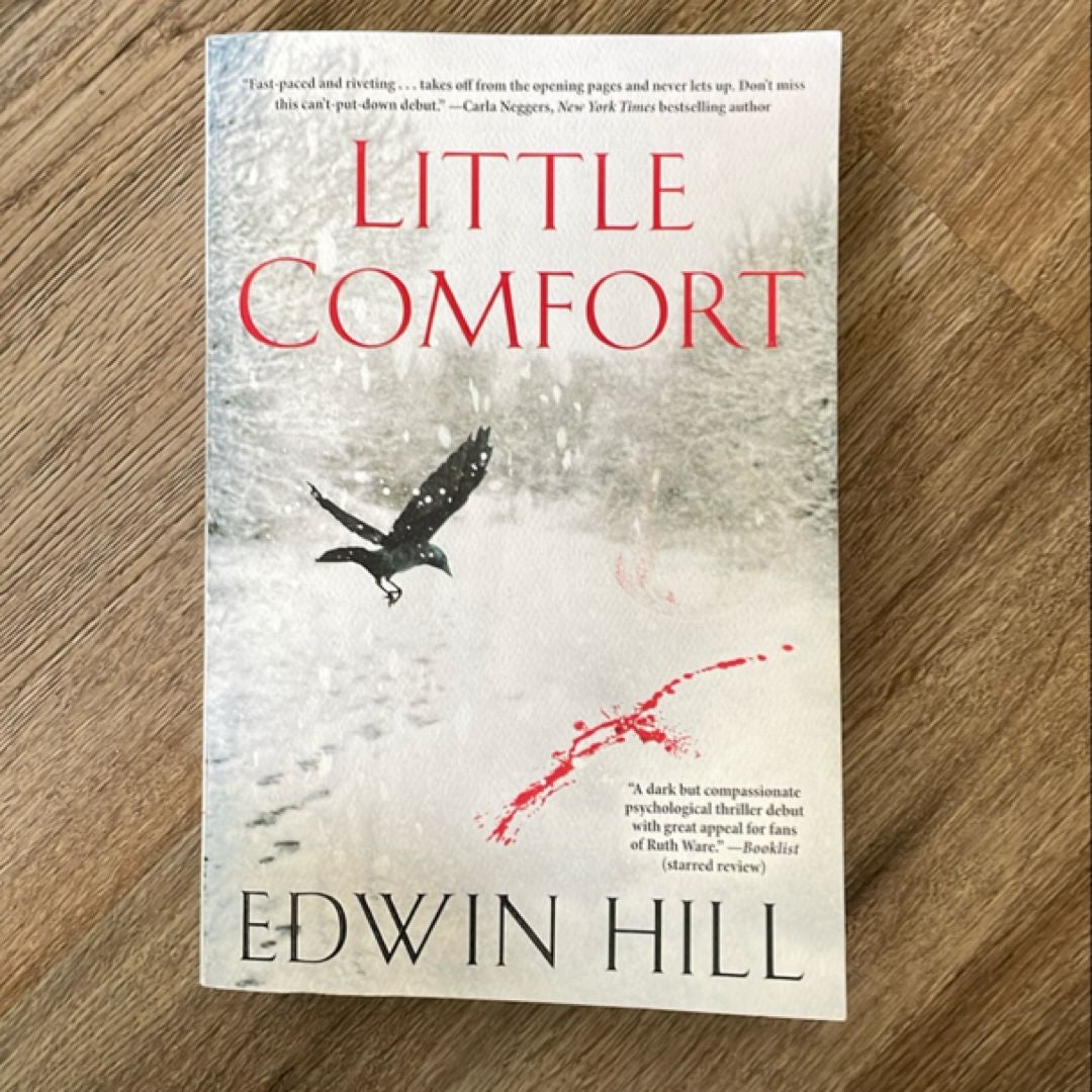 Little Comfort by Edwin Hill , Paperback | Pangobooks