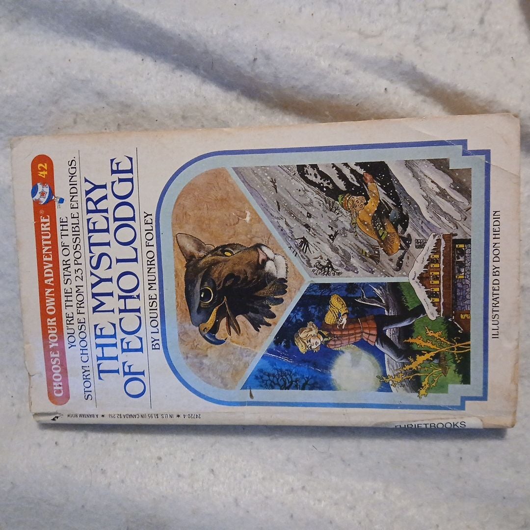 Mystery at Echo Lodge by Louise Foley