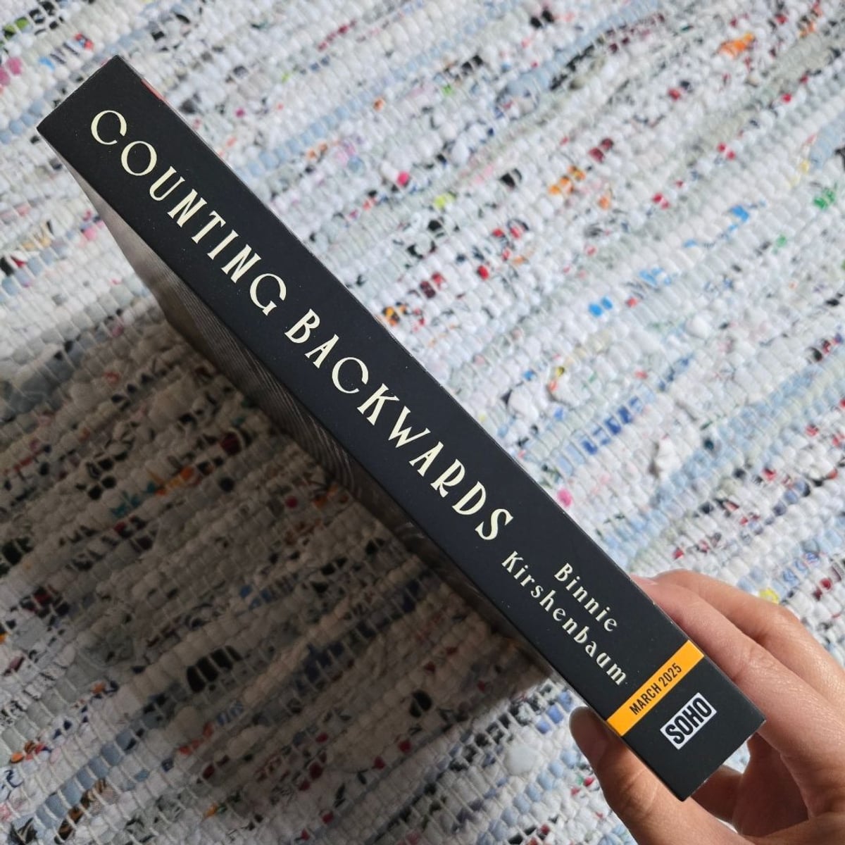 Counting Backwards by Binnie Kirshenbaum