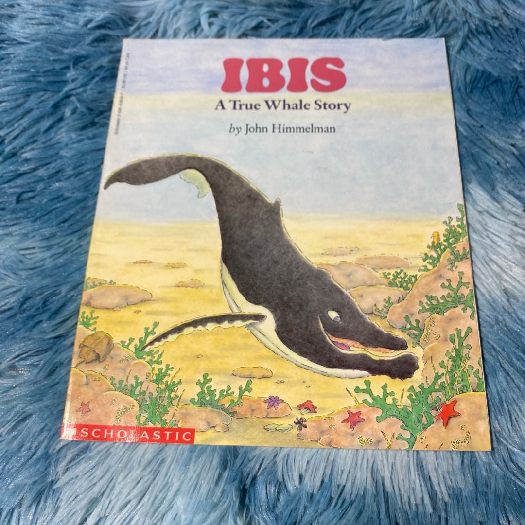 True Whale Story by John Himmelman