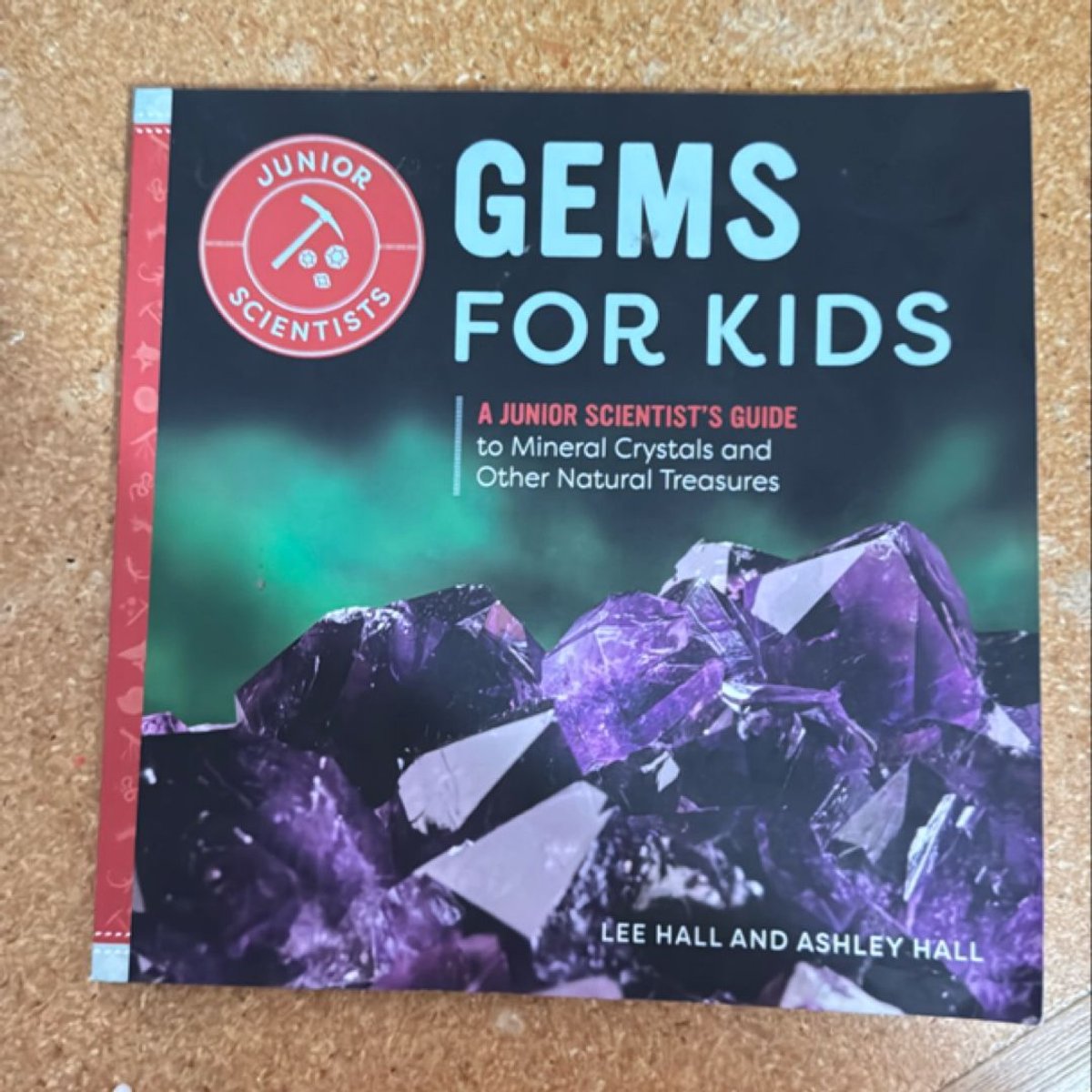 Gems for Kids by Ashley Hall, Lee Hall