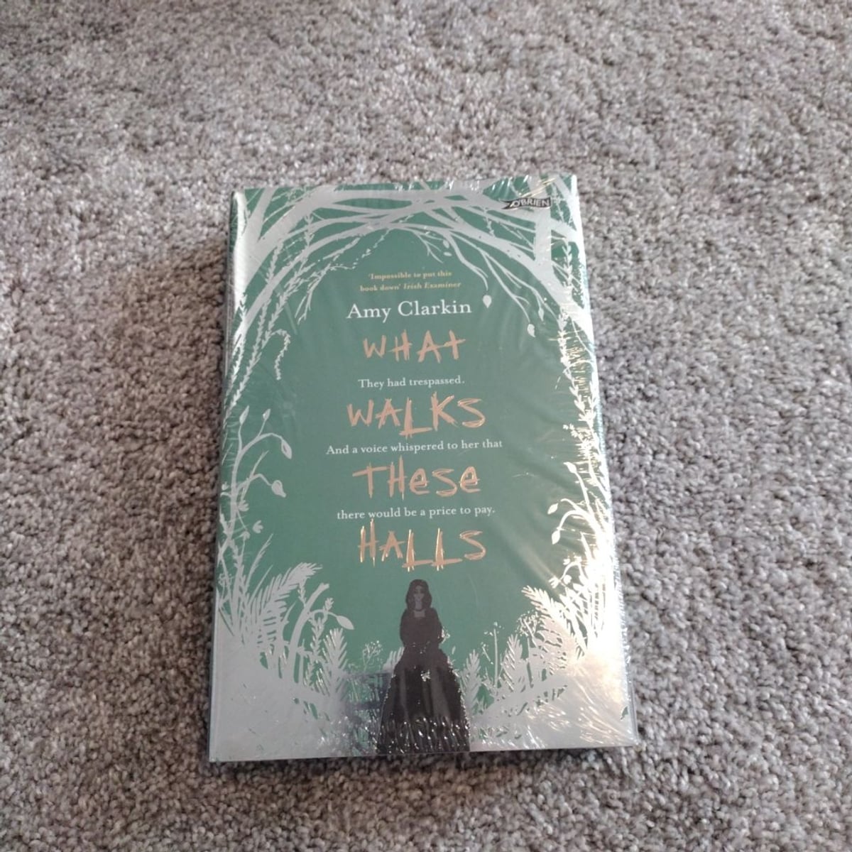 What Walks These Halls by Amy Clarkin