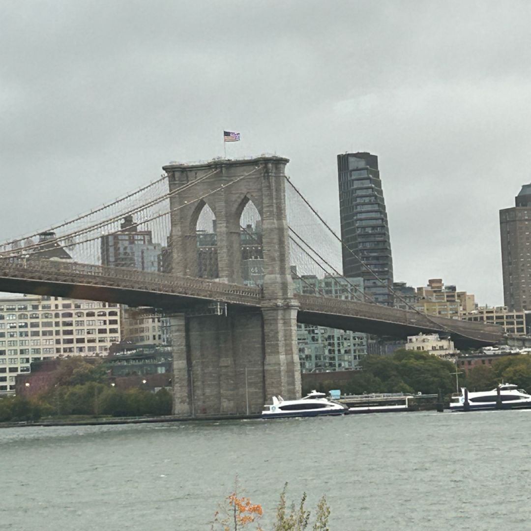 Shelly’s Book Stash's Bookstore | Pango Books