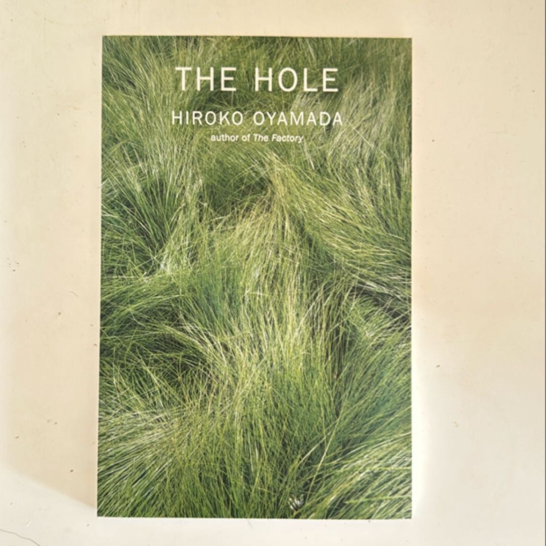 The Hole by Hiroko Oyamada, David Boyd