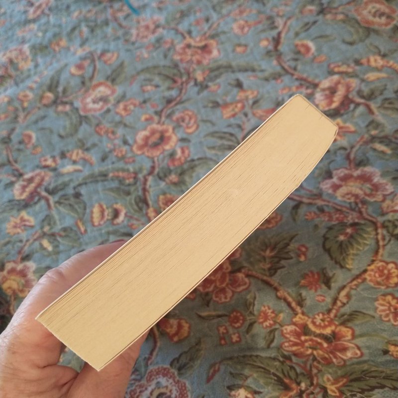The Last Summer of the Garrett Girls by Jessica Spotswood
