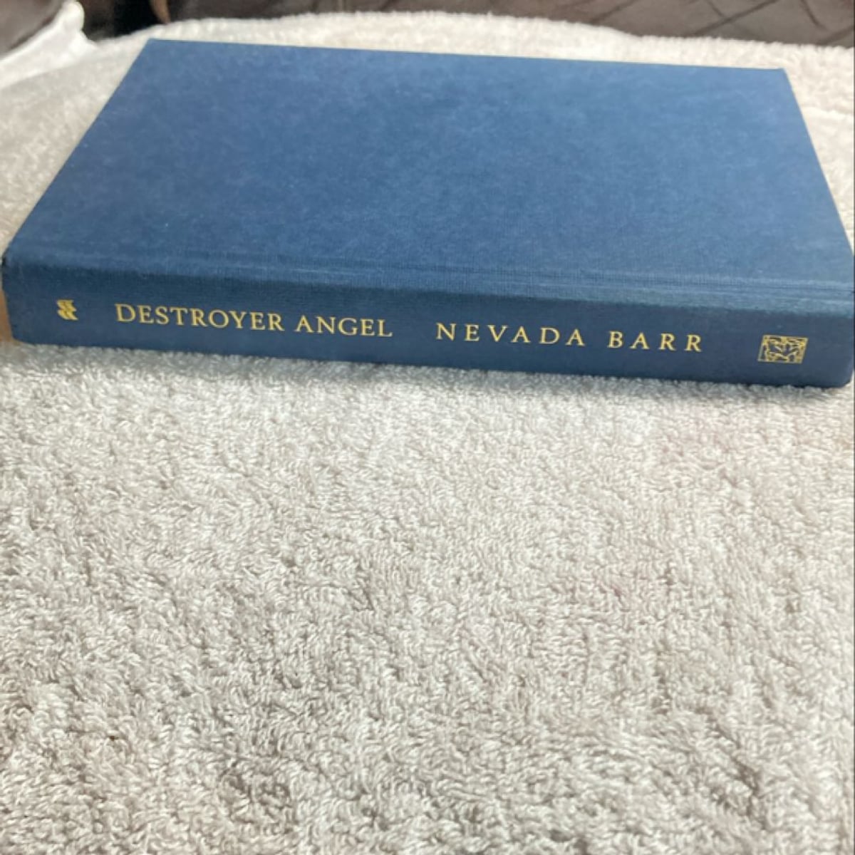 Destroyer Angel by Nevada Barr