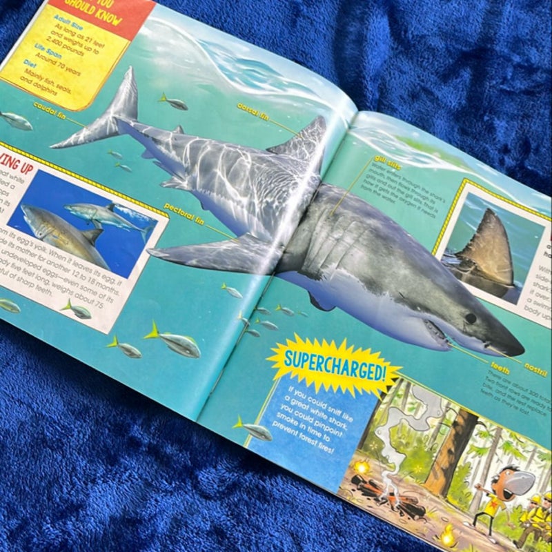 What If You Could Sniff Like a Shark?: Explore the Superpowers of Ocean ...