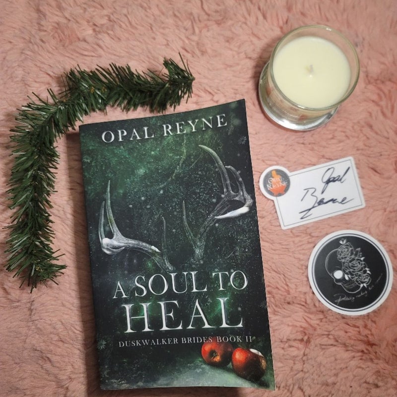 A Soul To Heal Fated Romance by Opal Reyne , Paperback | Pangobooks