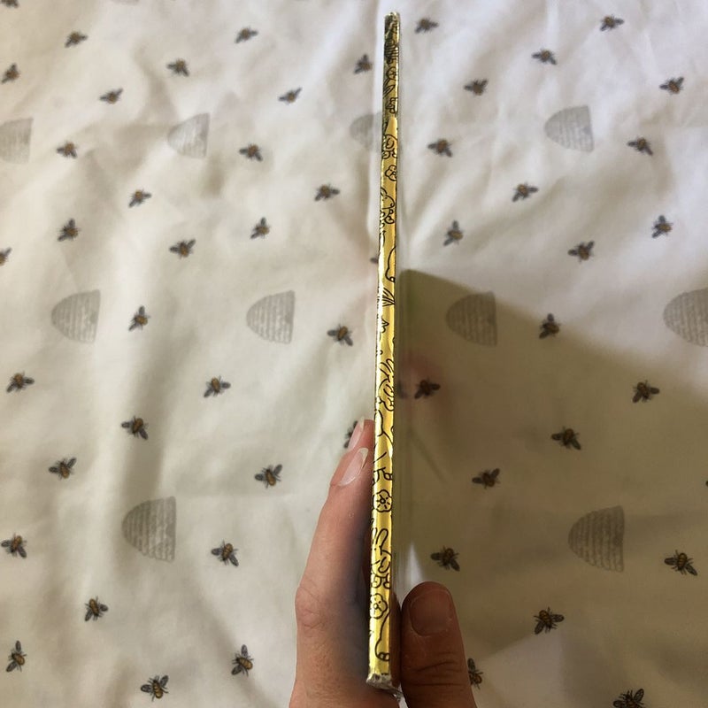 Branch's Bunker Birthday (DreamWorks Trolls) by David Lewman, Hardcover | Pango Books