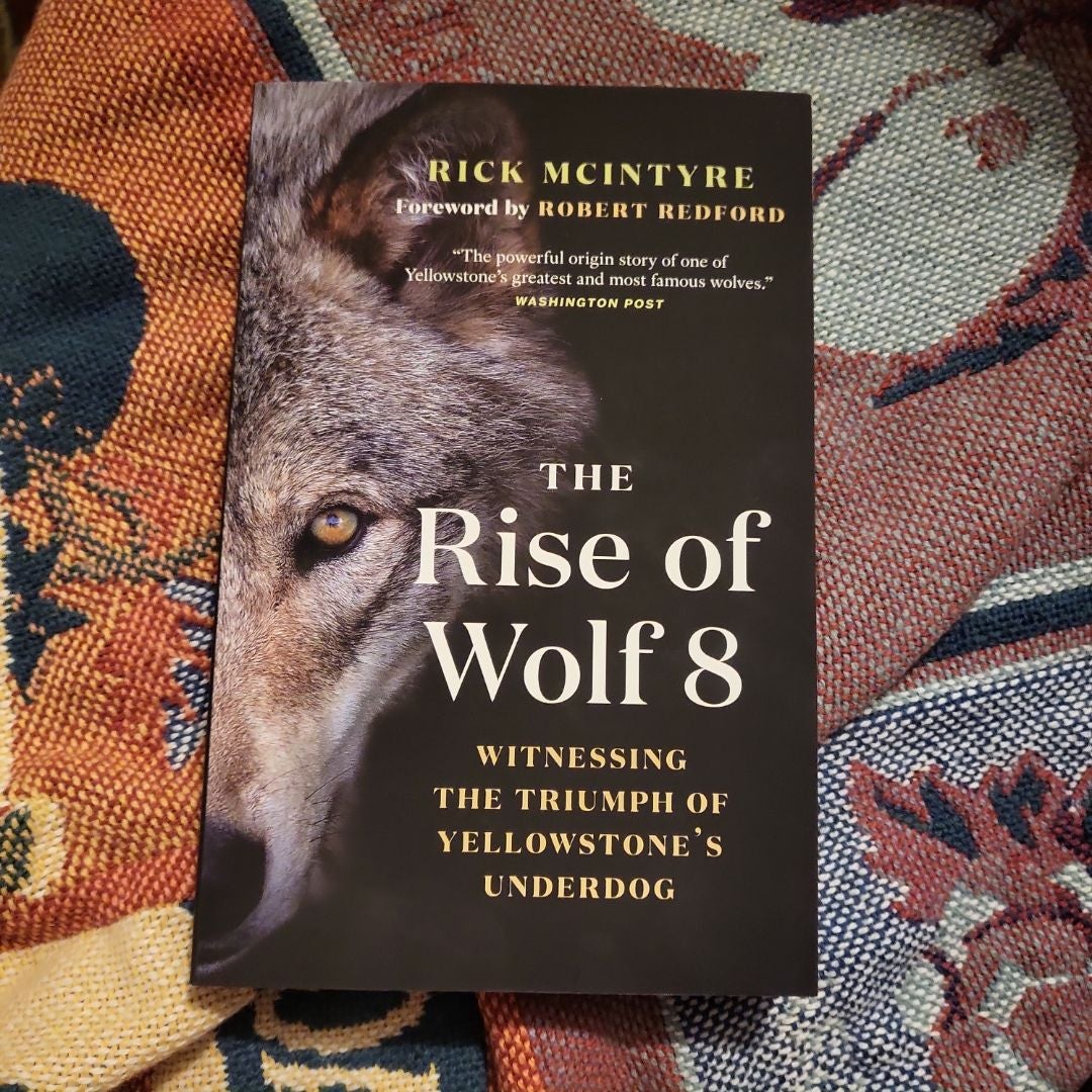 The Rise of Wolf 8 by Rick McIntyre, Robert Redford
