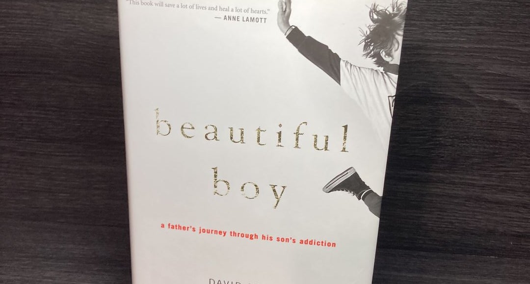 Beautiful Boy — DAVID SHEFF, 53% OFF | www.pinnaxis.com