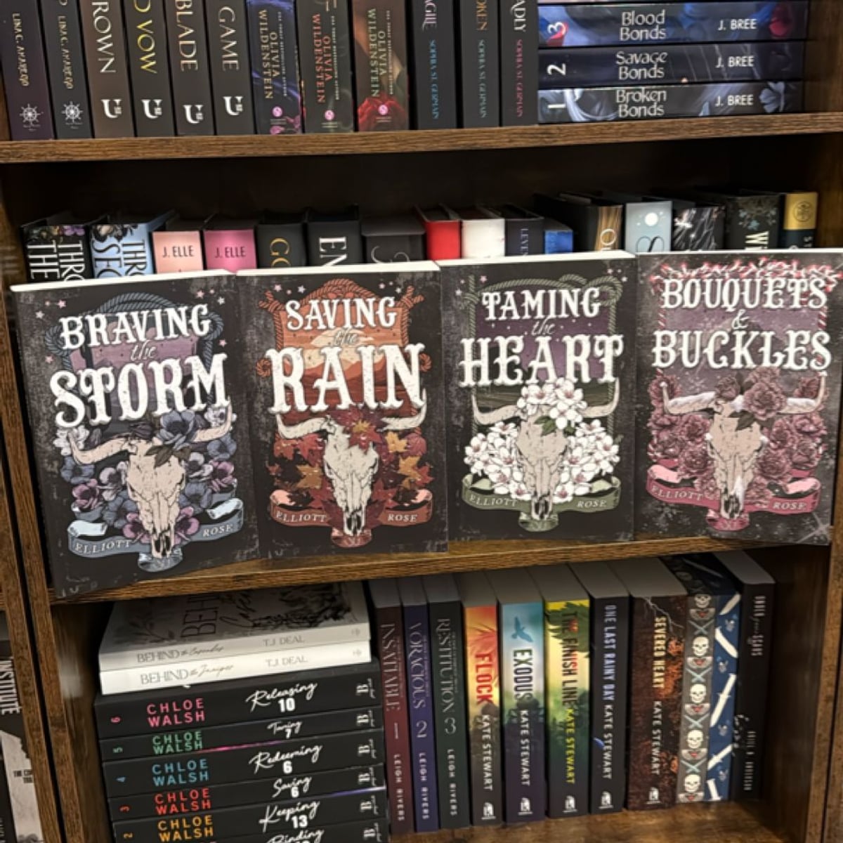 Braving the Storm by Elliott Rose