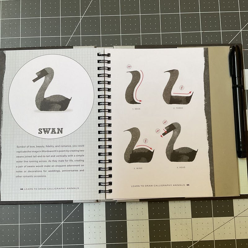 Learn to Draw Calligraphy Animals