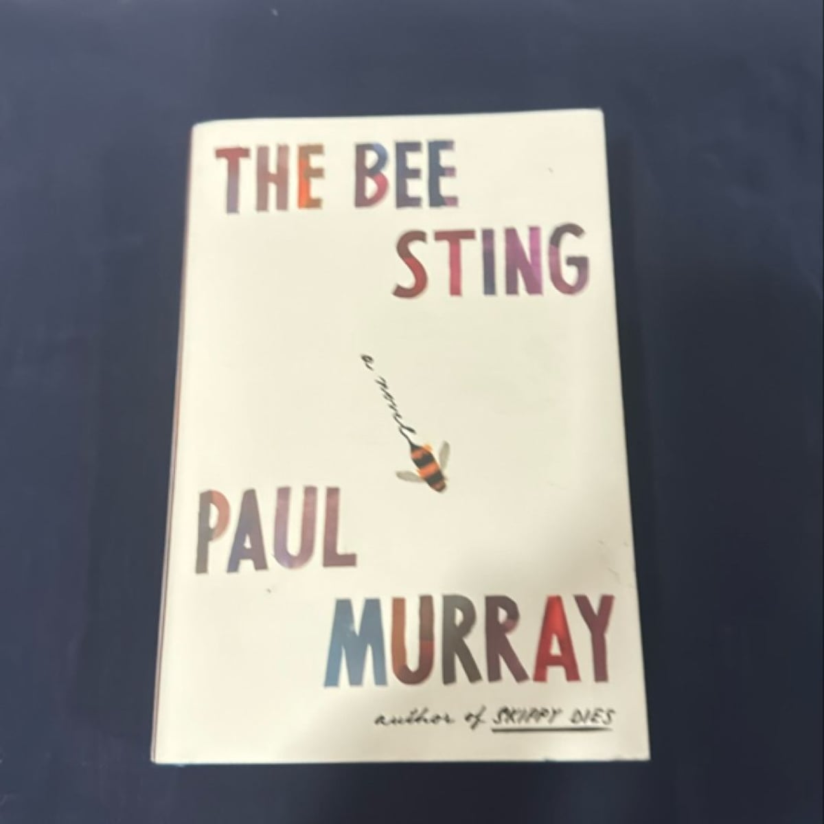 The Bee Sting by Paul Murray