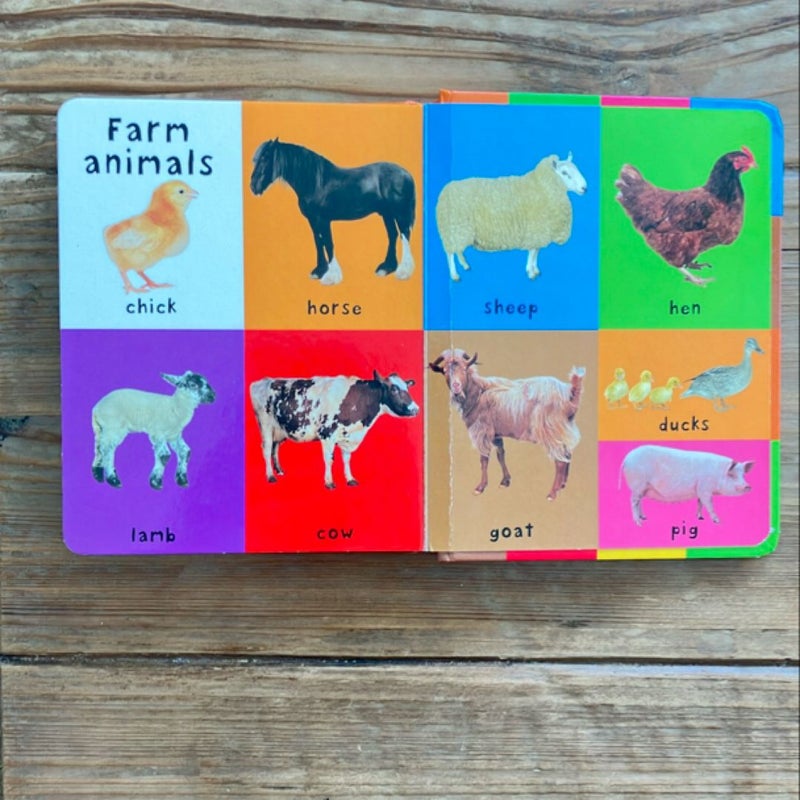 First 100 Board Book Box Set (3 Books) by Roger Priddy