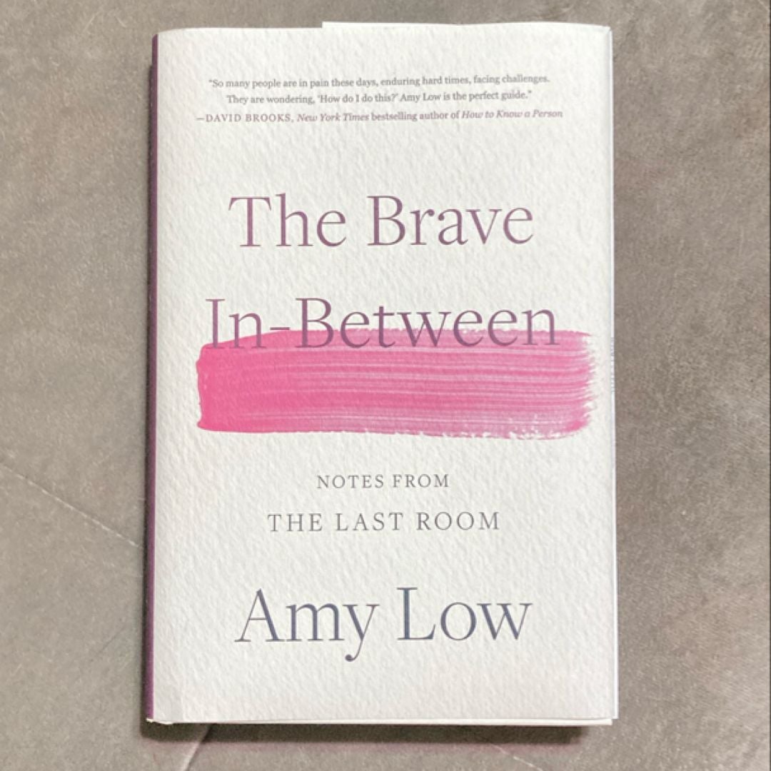 The Brave In-Between by Amy Low