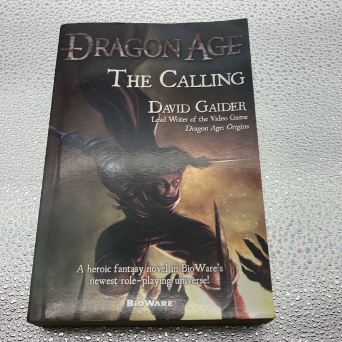 Dragon Age - the Calling by David Gaider