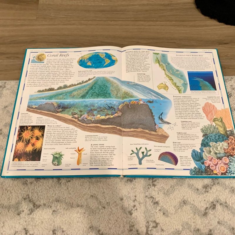 The Oceans Atlas by Anita Ganeri, Hardcover | Pangobooks