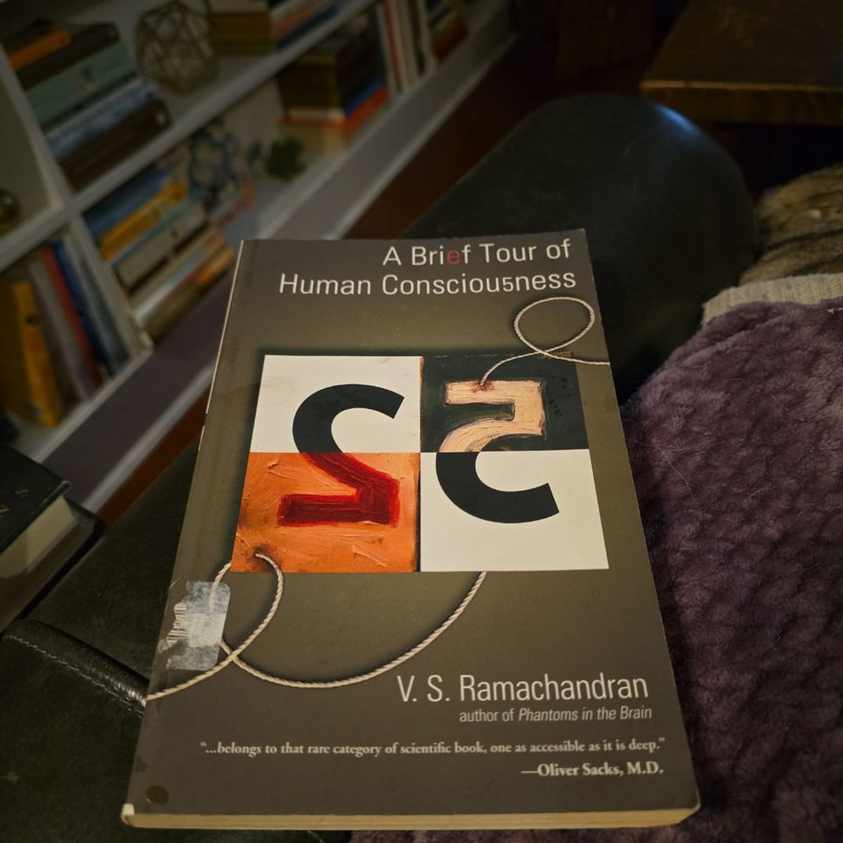 A Brief Tour of Human Consciousness by V. S. Ramachandran