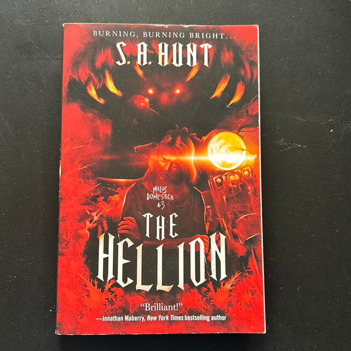 The Hellion by S. A. Hunt