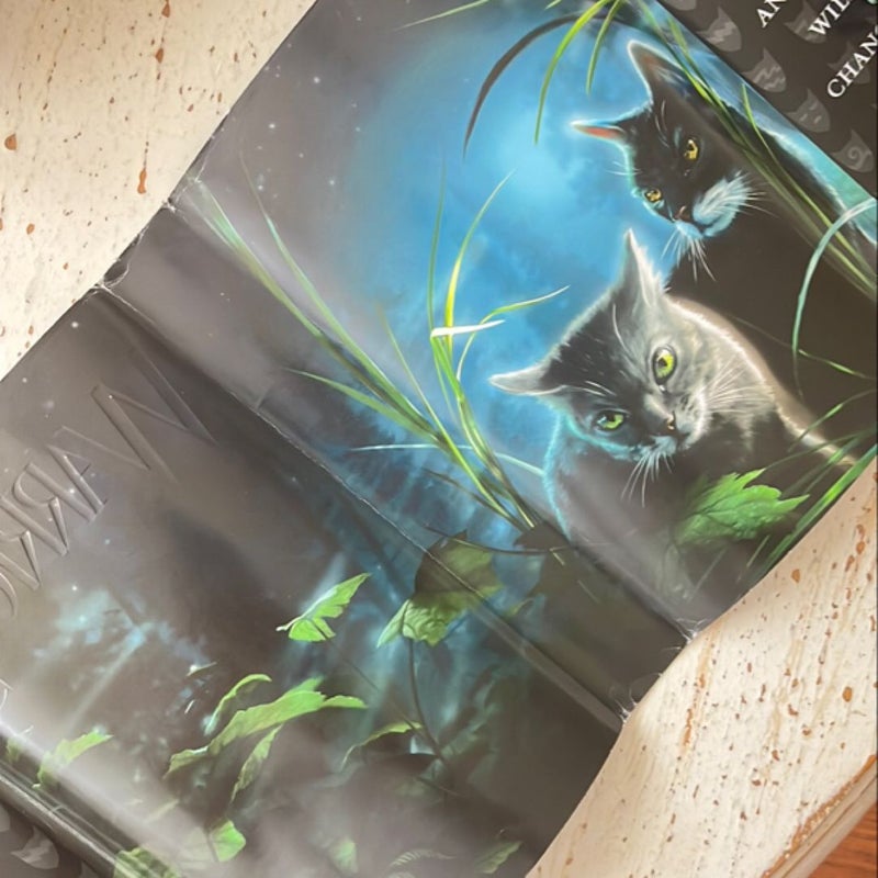 Warriors: a Vision of Shadows #2: Thunder and Shadow by Erin Hunter