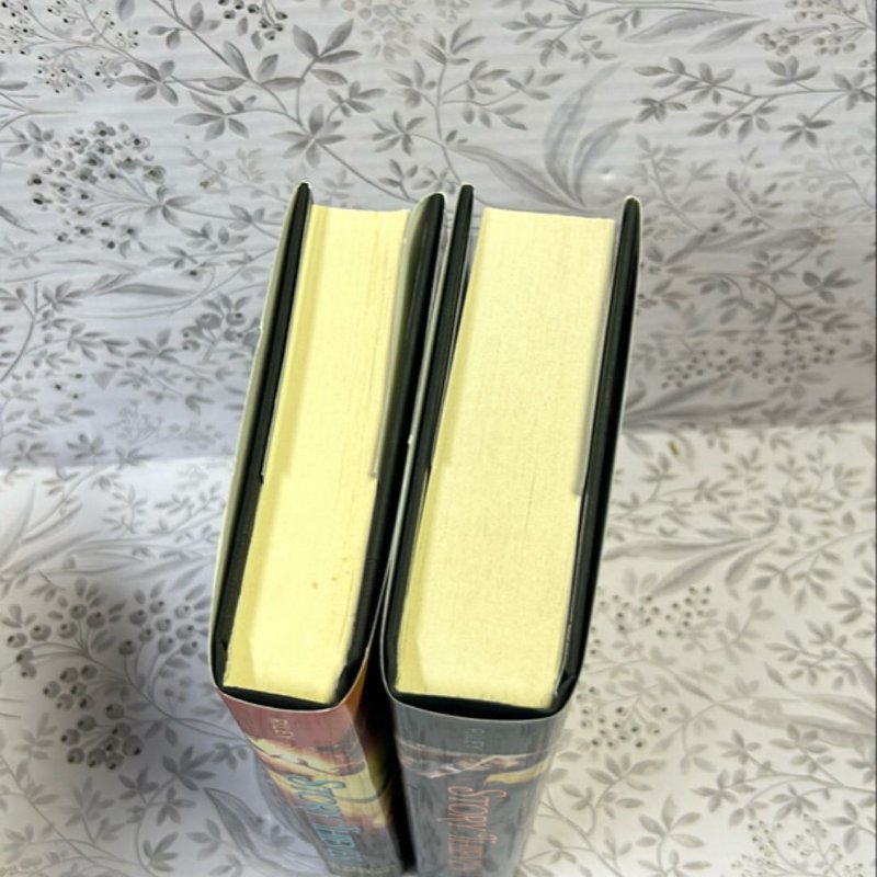 The Stolen Chapters & Worlds Apart Hardcover Bundle by James Riley ...