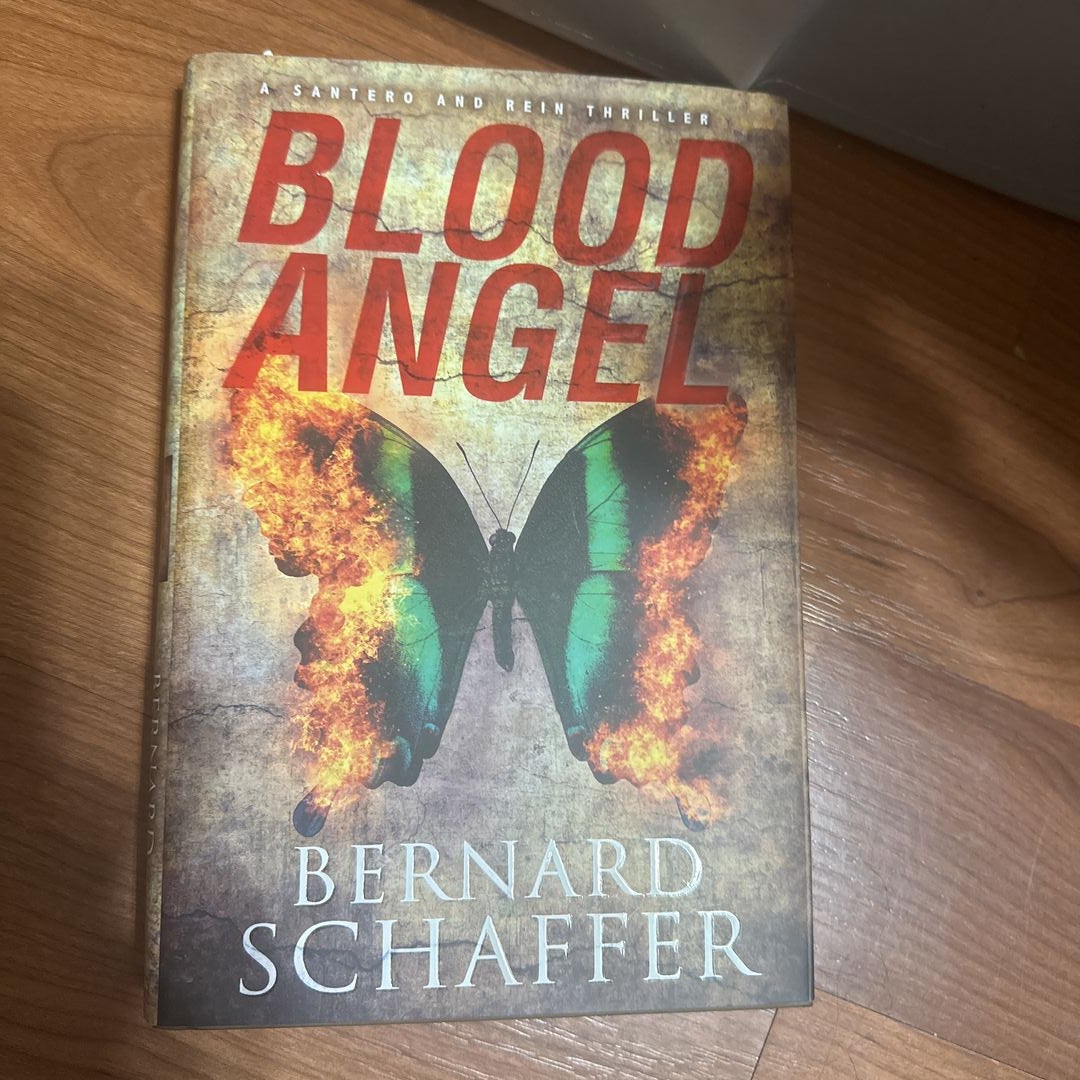 Blood Angel by B. Schaffer, Hardcover | Pangobooks