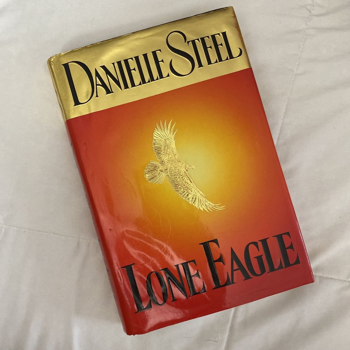Lone Eagle by Danielle Steel