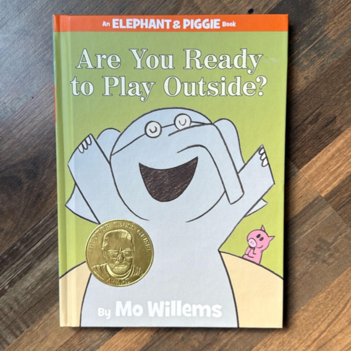 Are You Ready to Play Outside? (an Elephant and Piggie Book) by Mo Willems