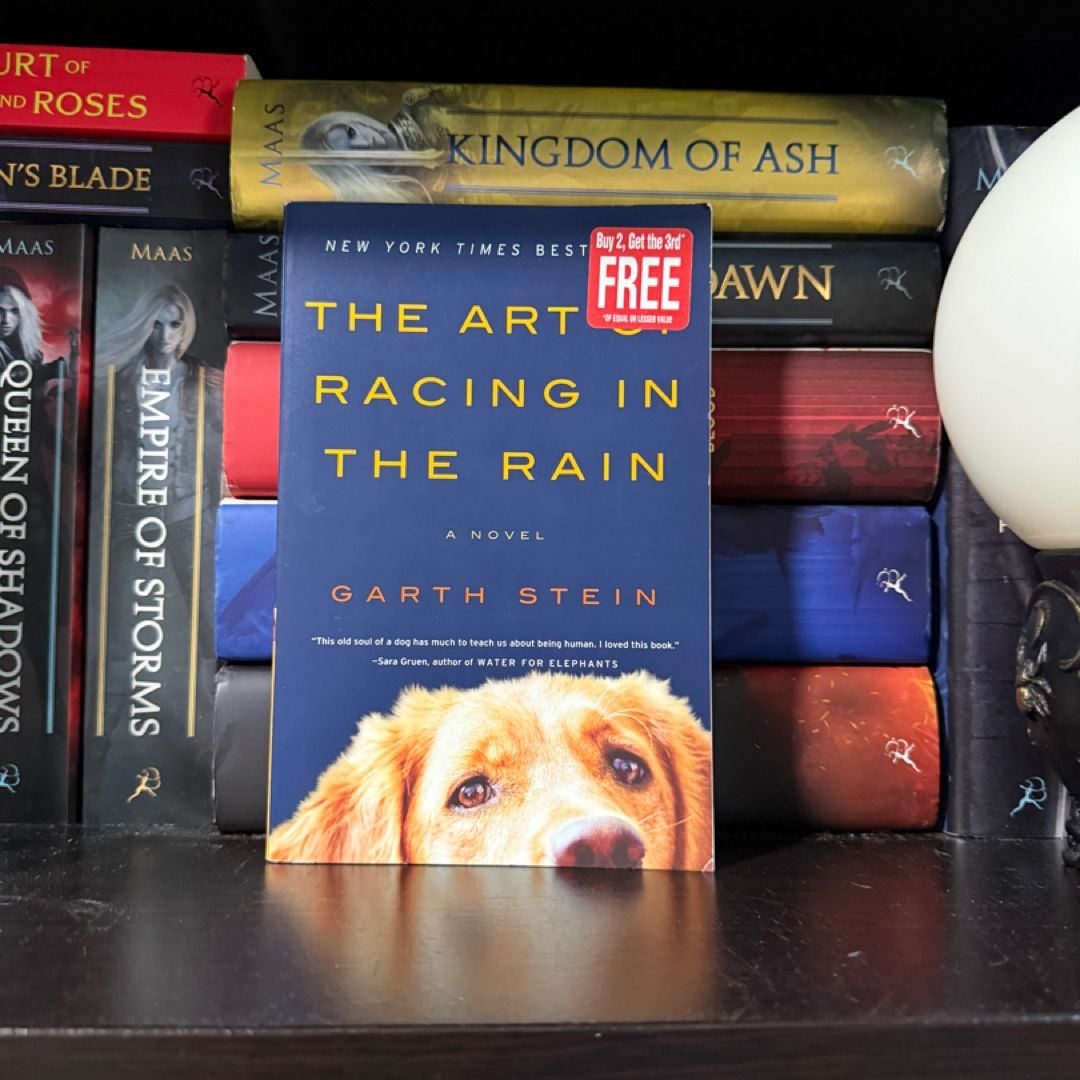 The Art of Racing in the Rain by Garth Stein, Paperback | Pangobooks