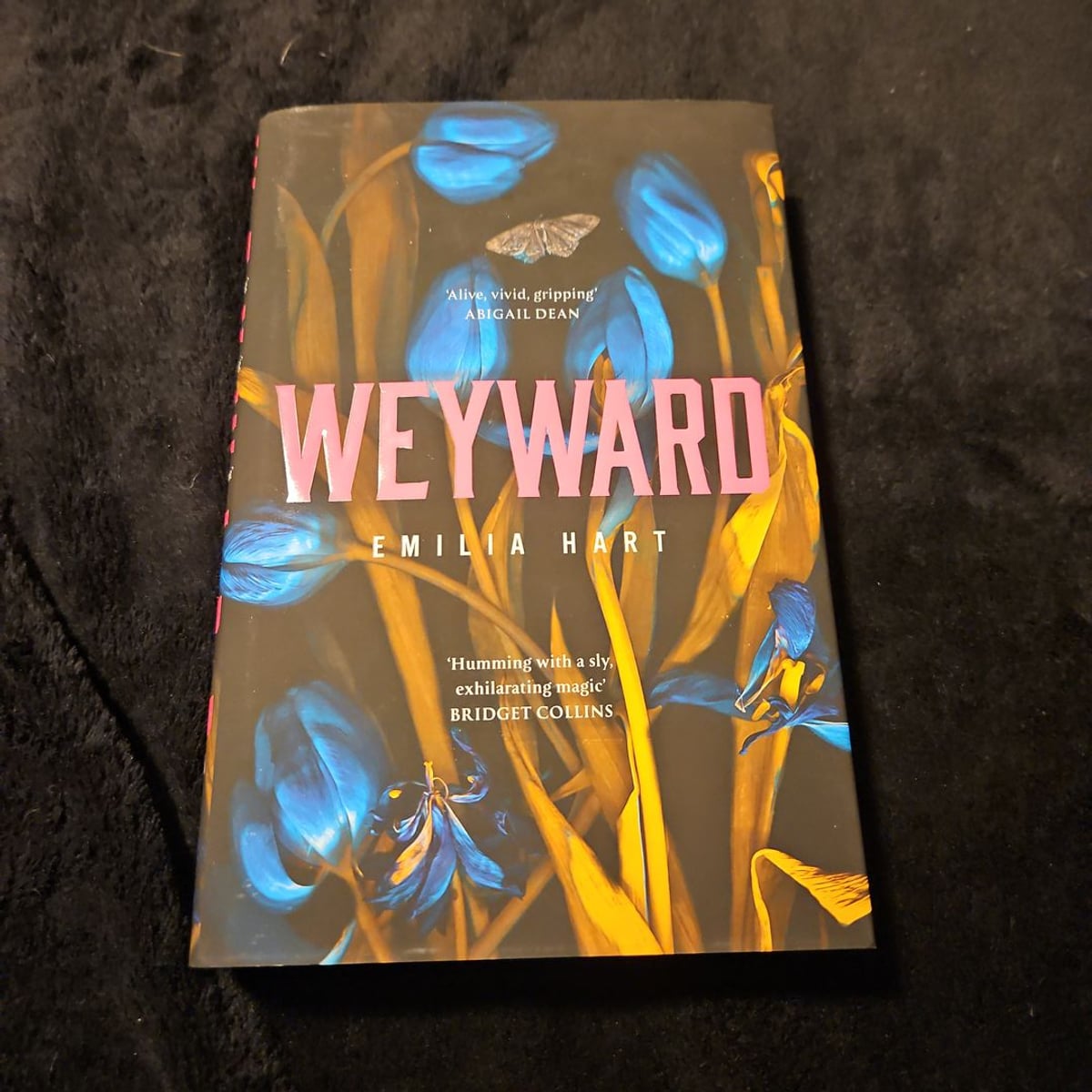 Weyward by Emilia Hart, Hardcover | Pangobooks