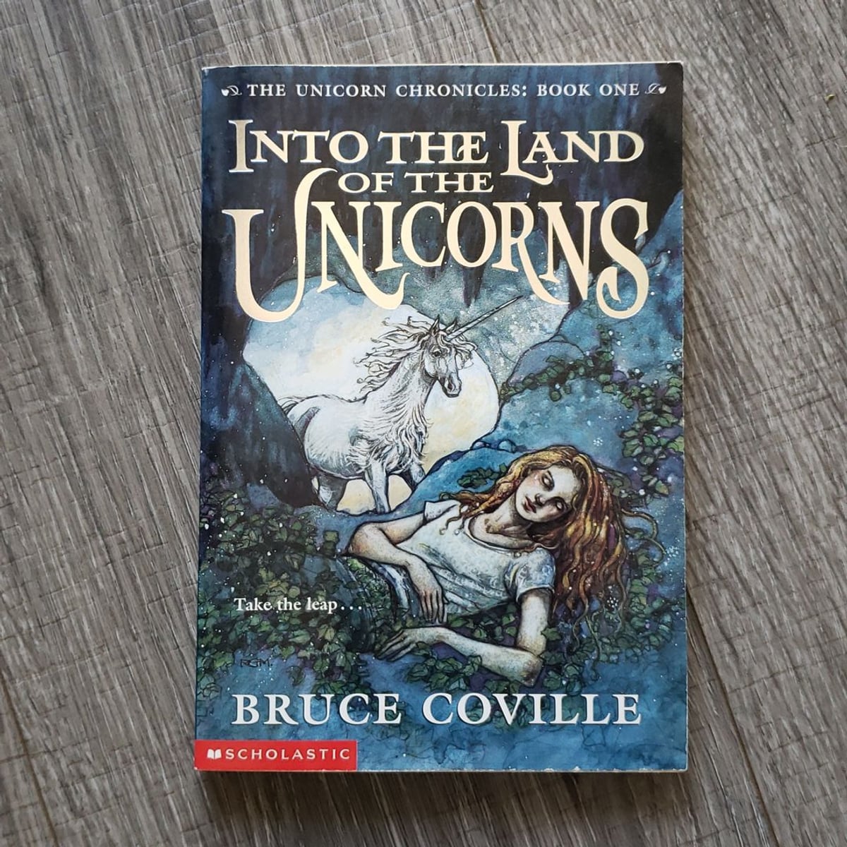 Into the Land of the Unicorns by Bruce Coville, Paperback | Pangobooks