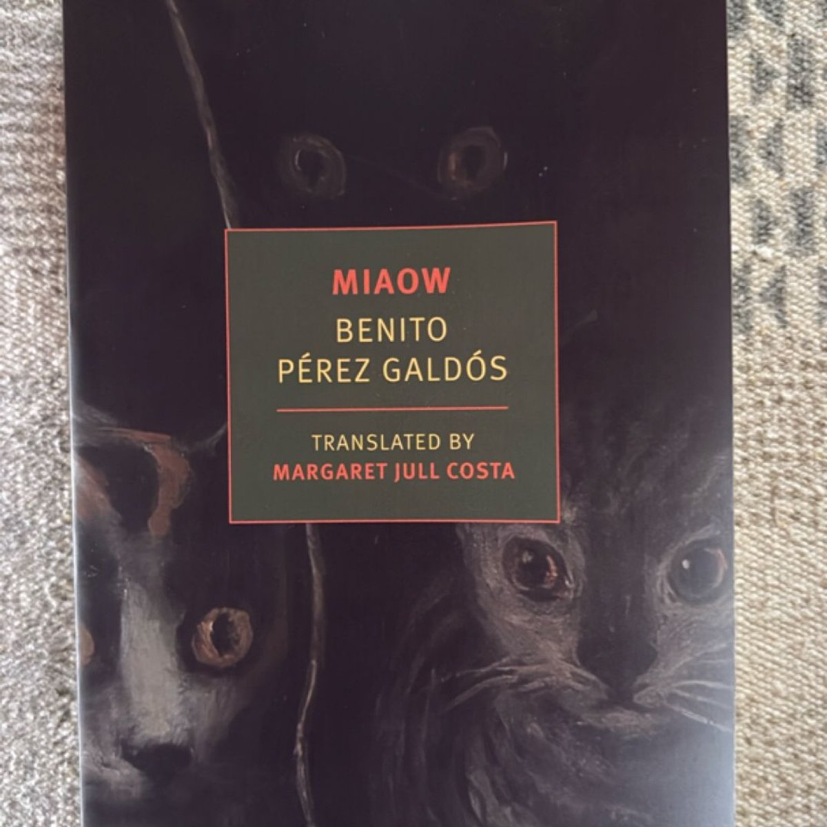 Miaow by Benito Perez Galdos, Margaret Jull Costa