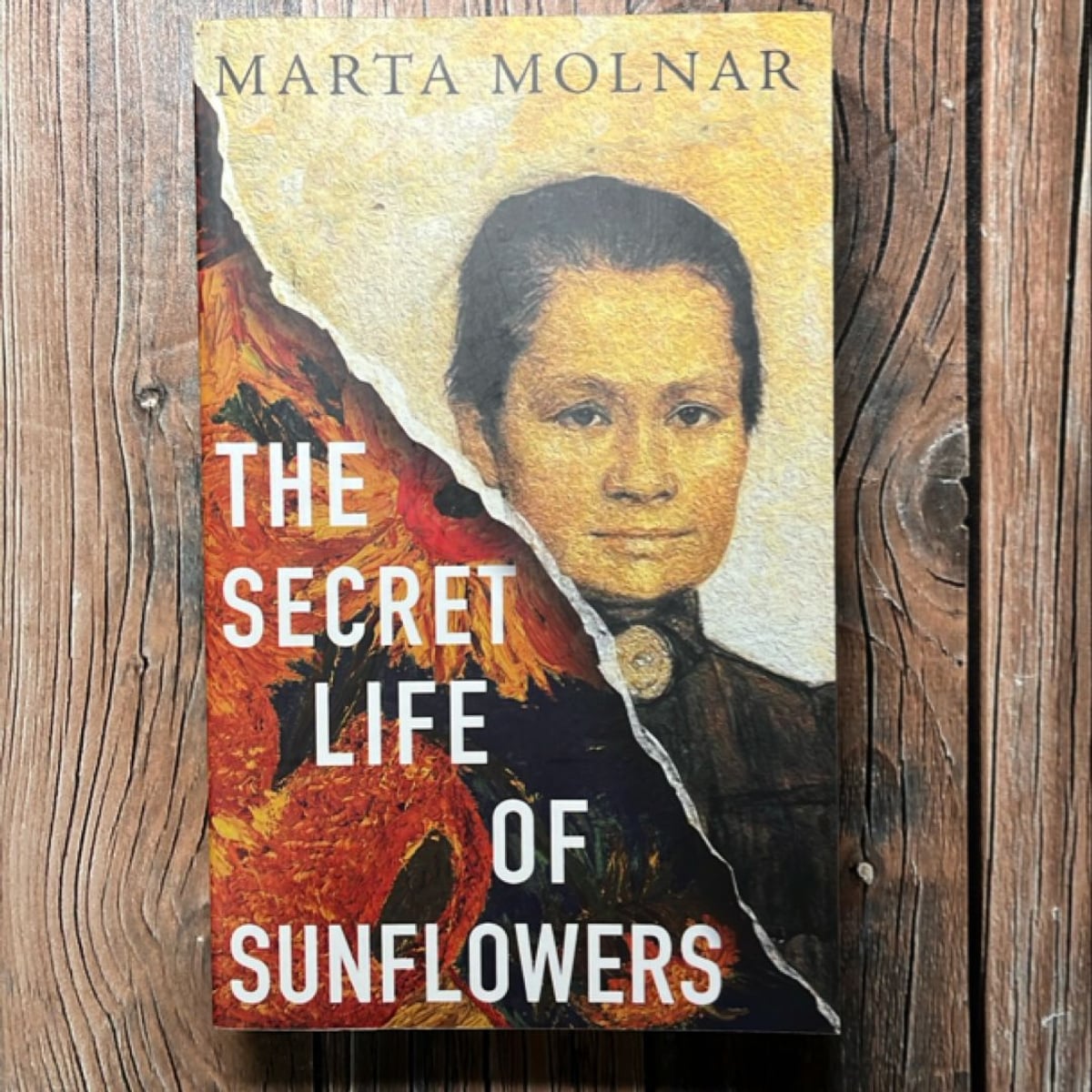 The Secret Life of Sunflowers by Marta Molnar