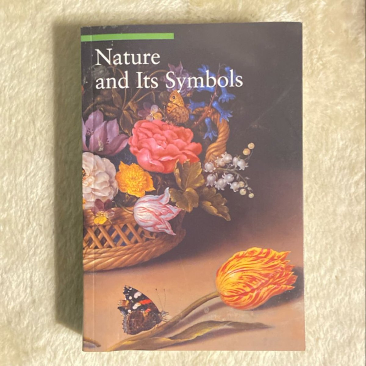 Nature and Its Symbols by Lucia Impelluso